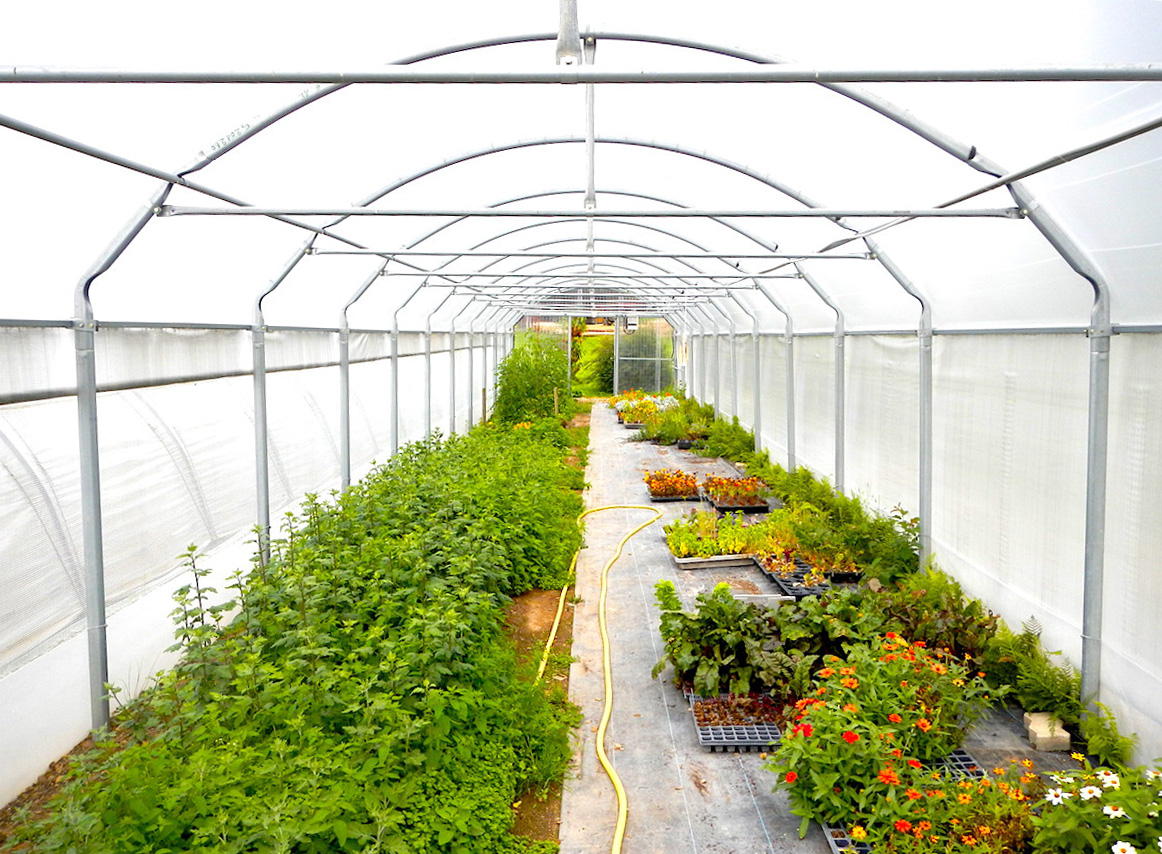 Neuheiten - Rudolf Schlatter