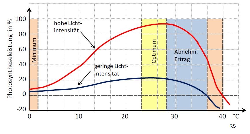 1. Diagramm-Photosynthese - Rudolf Schlatter