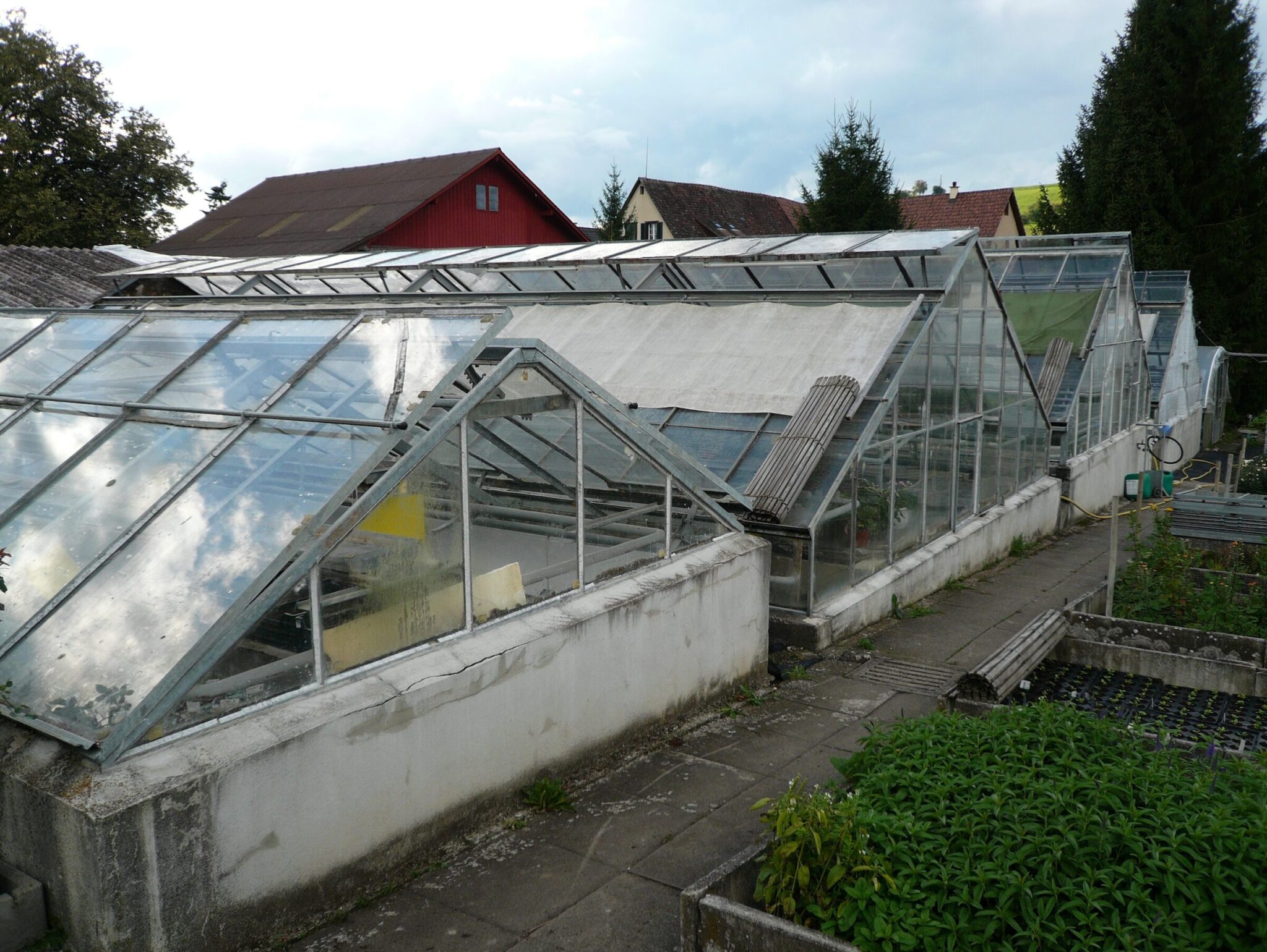 SCR-20240318-hbzq - Rudolf Schlatter